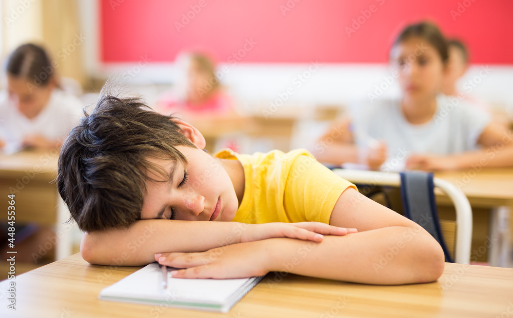 Boy Sleeping In Class