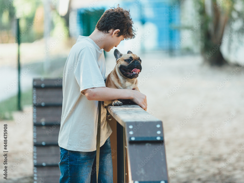 Teenager teaching his cute french bulldog on special playground for ...