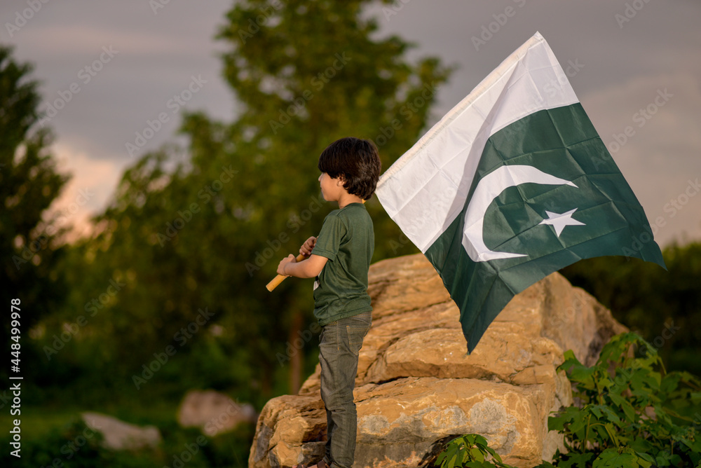 cheerful active little boy celebrating 14th of August, Pakistan ...