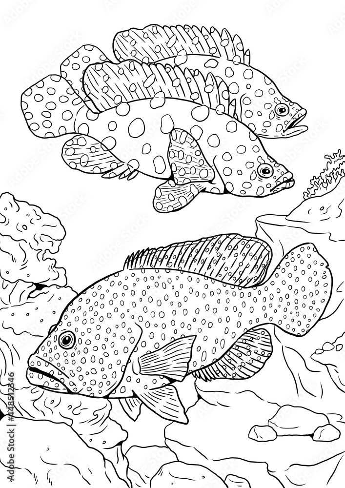 Tropical marine fishes in the aquarium and in nature. Colorful sea fish ...