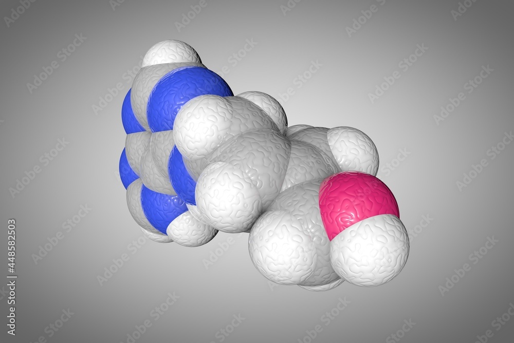 Space-filling molecular model of zeatin. Atoms are represented as ...