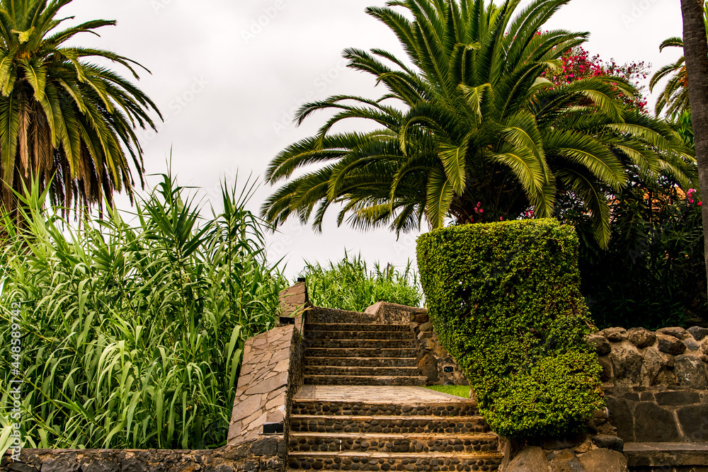 Escaleras en un parque al aire libre Stock Photo | Adobe Stock