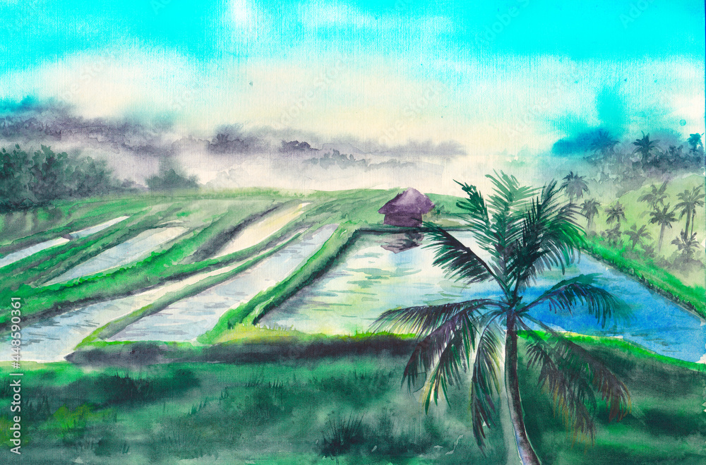 Watercolor hand drawn illustration. Landscape with palm, terraces, rice ...