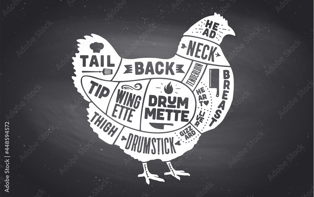 Chicken, hen. Scheme, diagram, chart chicken butcher guide. Vintage ...