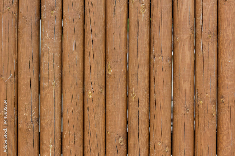 smooth background of light brown round wooden boards. wood texture ...