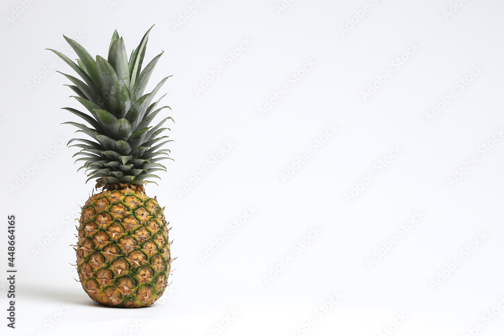 Pina on white background with background for text. Horizontal photo of ...