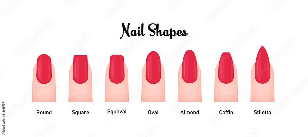 Various nail shapes vector illustration set Stock Vector | Adobe Stock