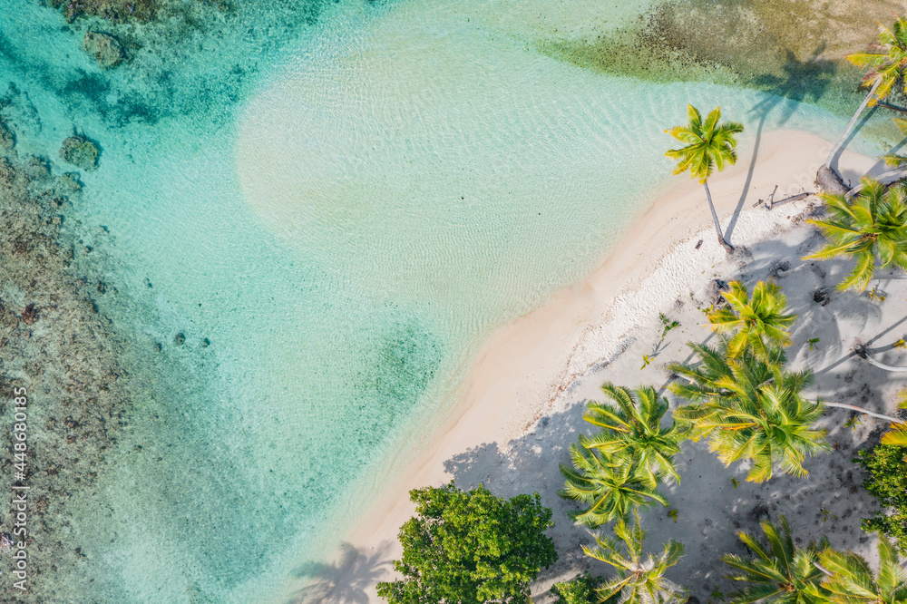 Beach travel vacation top down drone photo of tropical paradise beach ...