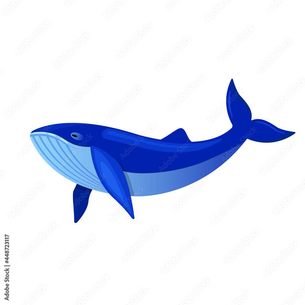 Whale in cartoon style. Stock Vector | Adobe Stock