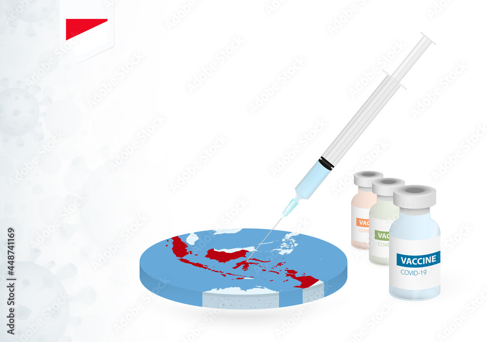 Vaccination in Indonesia with different type of COVID-19 vaccine ...