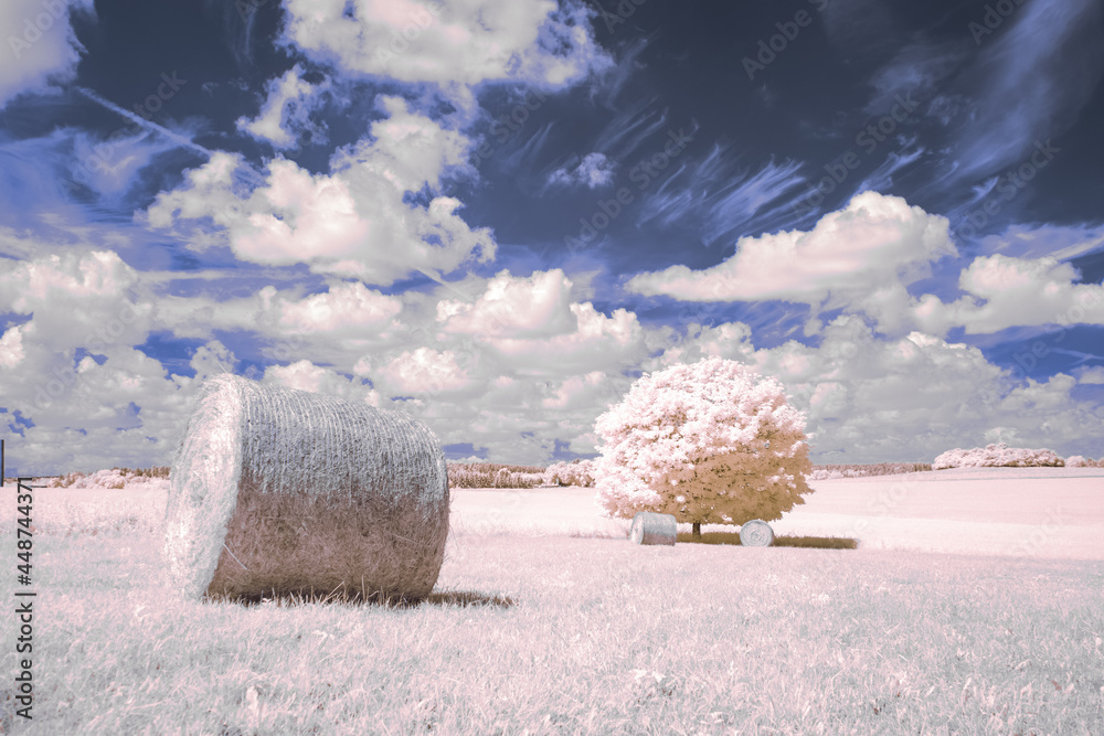 infrared photography - surreal ir photo of landscape with trees under ...