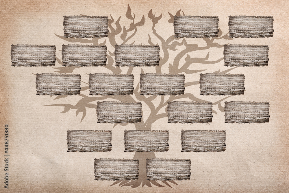 Family tree with empty frames for photos in vintage style, illustration ...