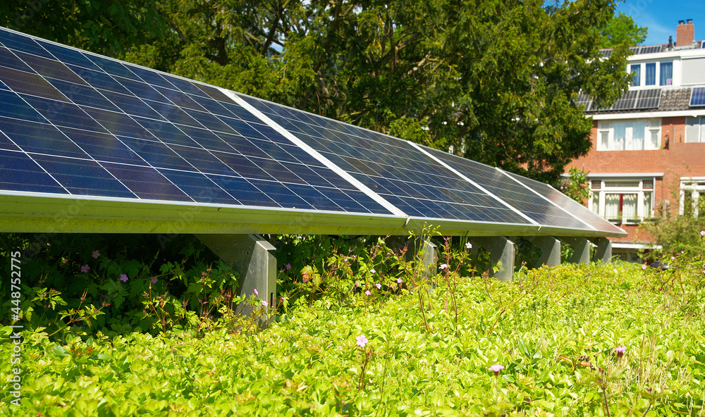 Solar panels on a green rooftop with blooming sedum for climate ...