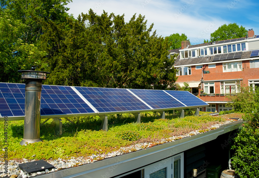 Solar panels on a green rooftop with blooming sedum for climate ...