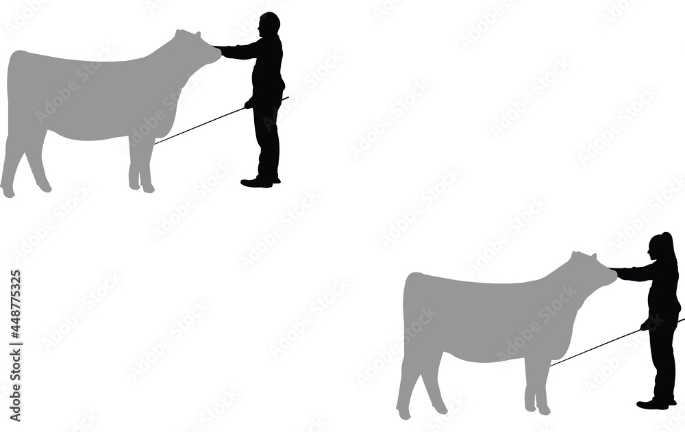 Cattle Show Vector Silhouette Stock Vector | Adobe Stock