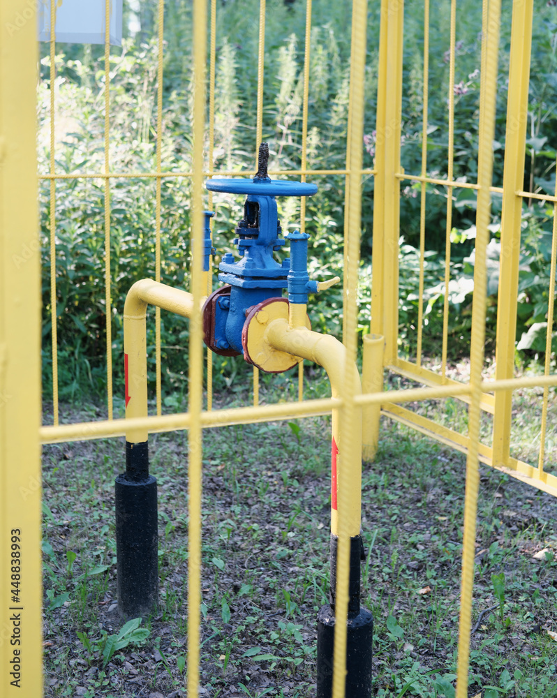 Distribution unit of a household gas supply system. blue gas unit valve ...