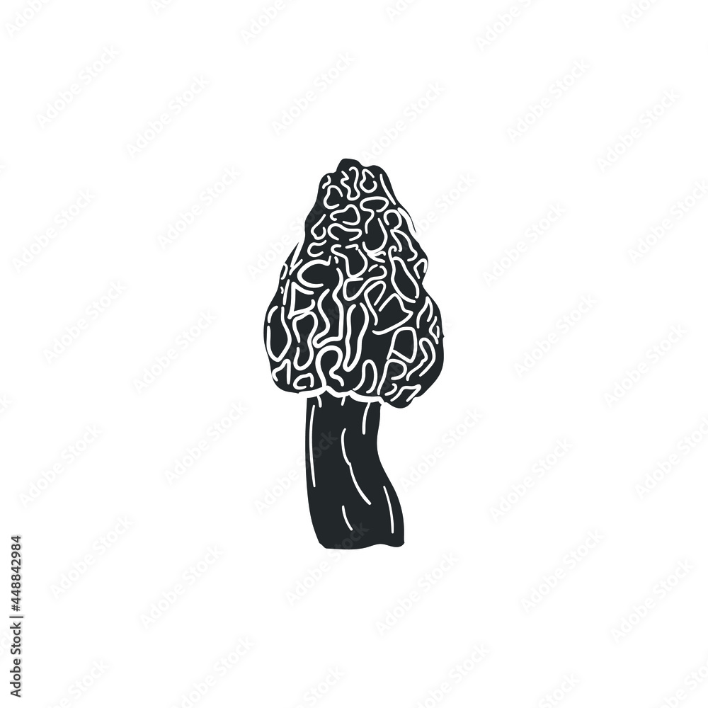 Morel Mushroom Icon Silhouette Illustration. Morchella Vulgaris Vector ...
