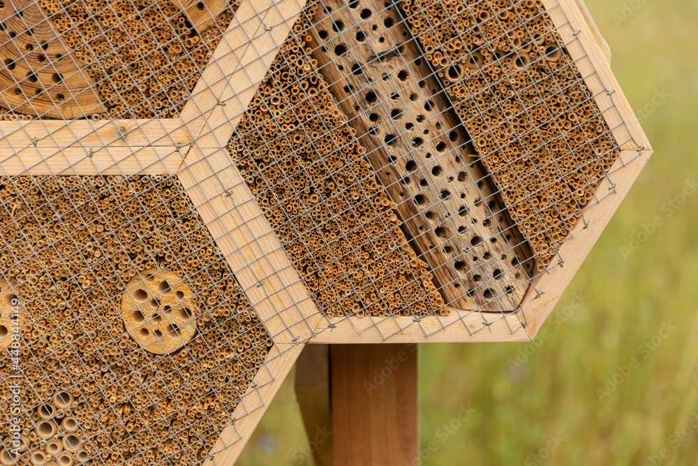 Insect hotel hexagon detail made of natural materials like wood with ...