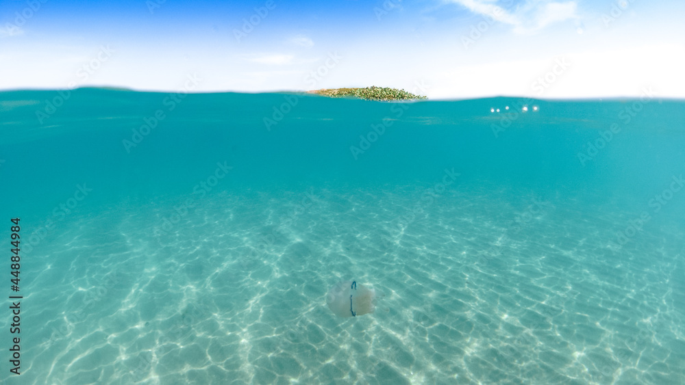 Underwater in sandy sea, undersea, diving to ocean bottom, under ocean ...