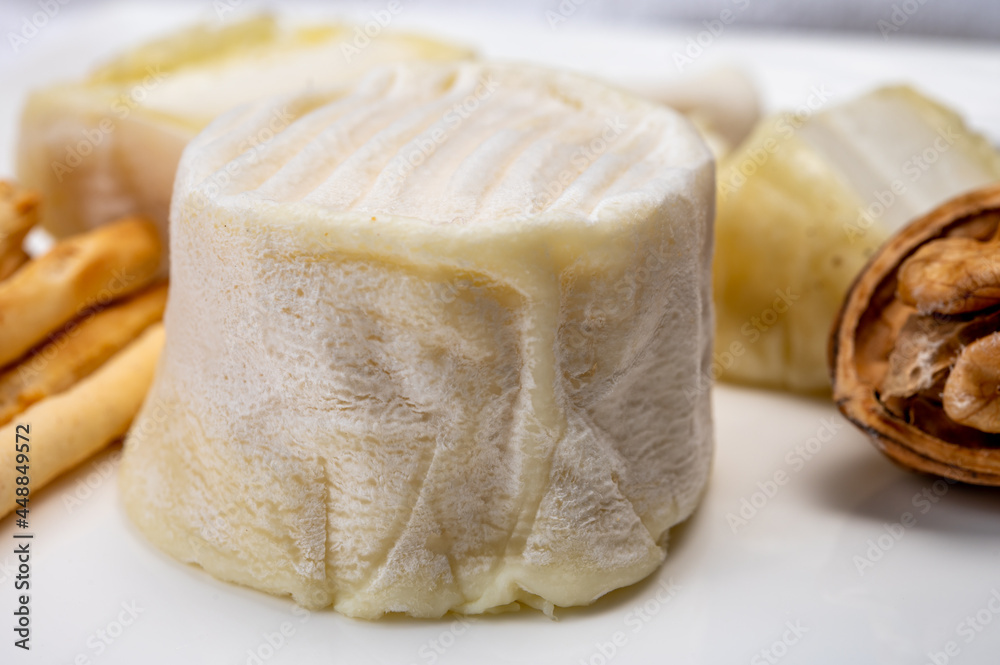 Cheese collection, soft goat French cheese with mold crottin de ...