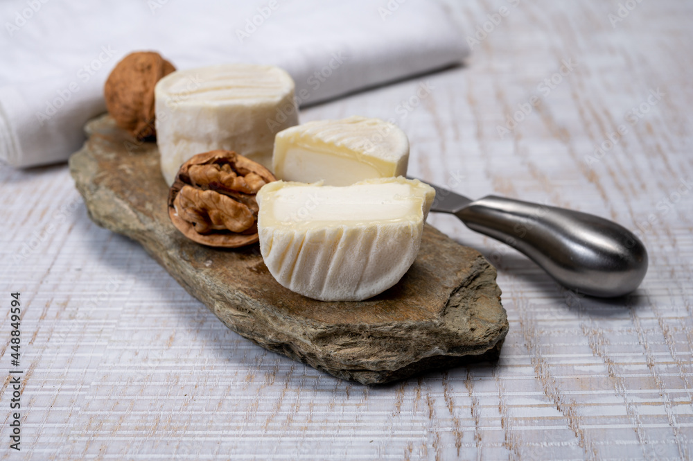 Cheese collection, soft goat French cheese with mold crottin de ...