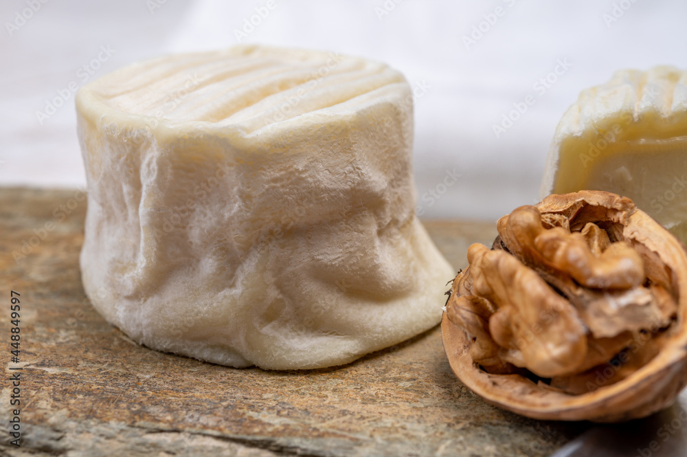 Cheese collection, soft goat French cheese with mold crottin de ...
