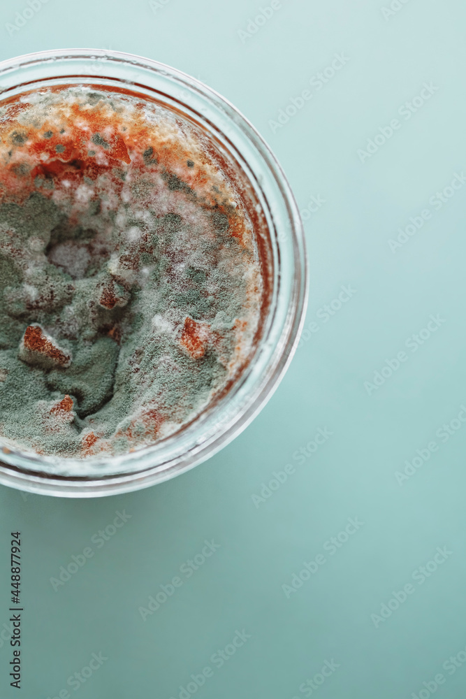 Moldy Stock Photo | Adobe Stock