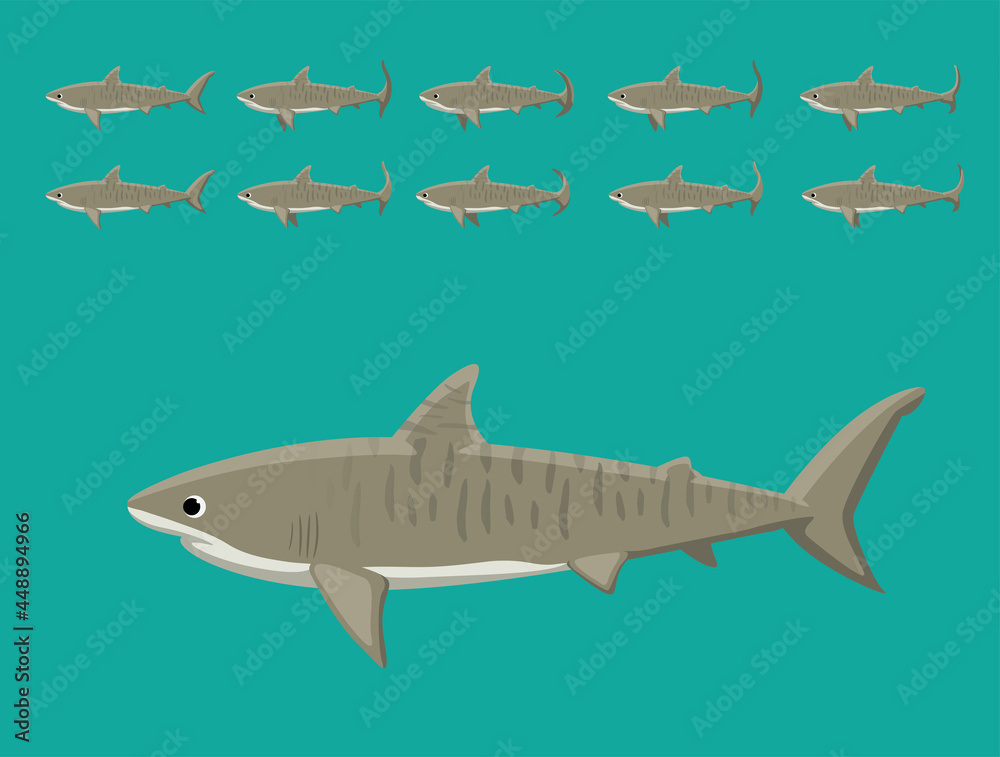 Animal Animation Sequence Tiger Shark Cartoon Vector Stock Vector ...