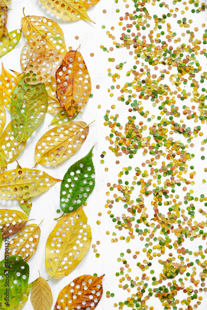 Biodegradable Nature Confetti Stock Photo | Adobe Stock