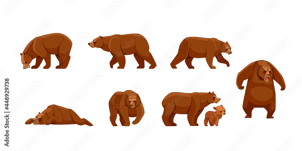 Set of large brown bear in different poses looking, running, walking ...