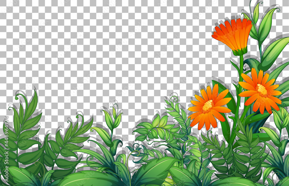 Flower Bottom Border Transparent