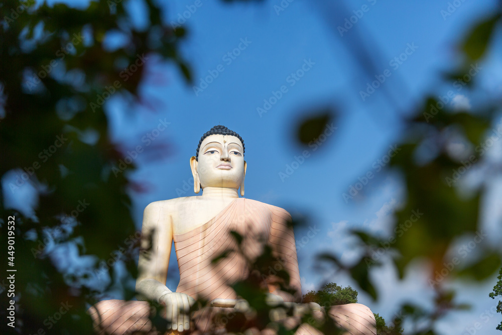 Great Buddha in Kande Vihara Temple, Sri Lanka Stock Photo | Adobe Stock