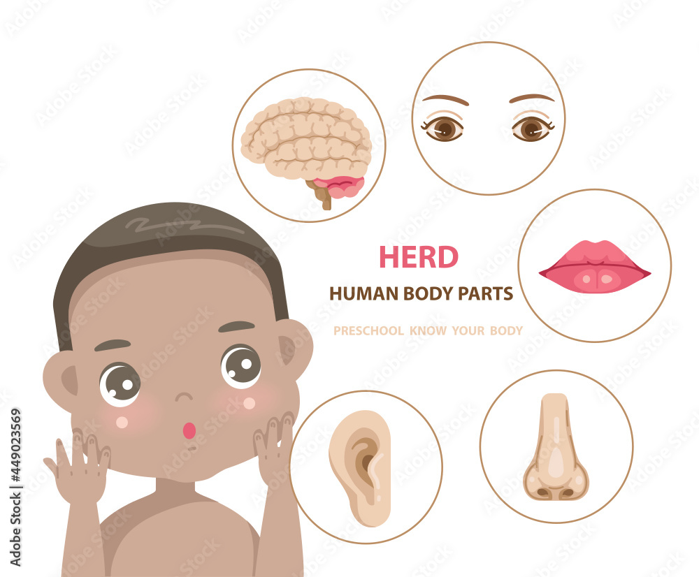 african boy face. head human body parts of preschool boy body anatomy ...
