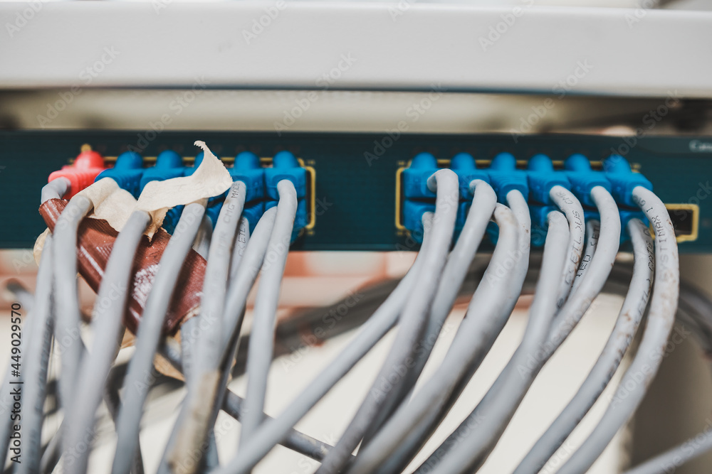 Close up of bunch of Ethernet cables (RJ45) plug into an enterprise ...