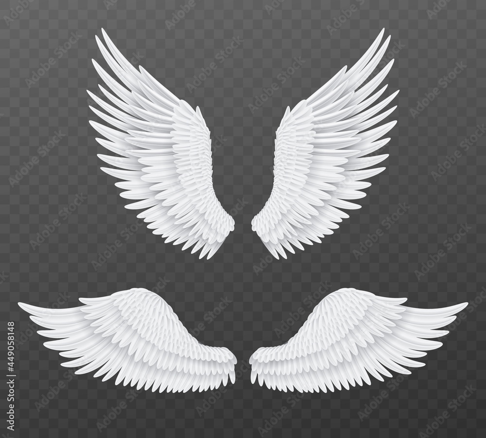 Realistic wings. Beautiful isolated angel wings, pair of 3d birds white ...