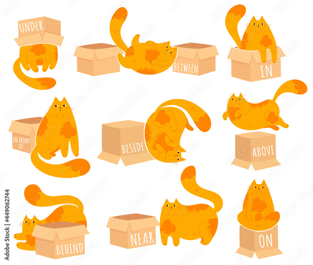 Learning prepositions of place. Funny fat cat character and paper box ...