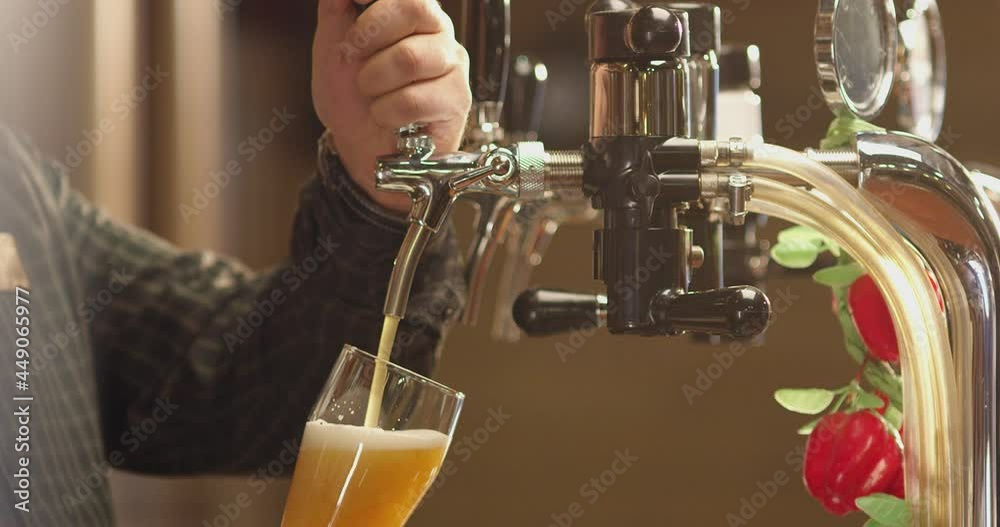 Pouring cold beer into glass. Bartender pouring craft beer in the bar ...