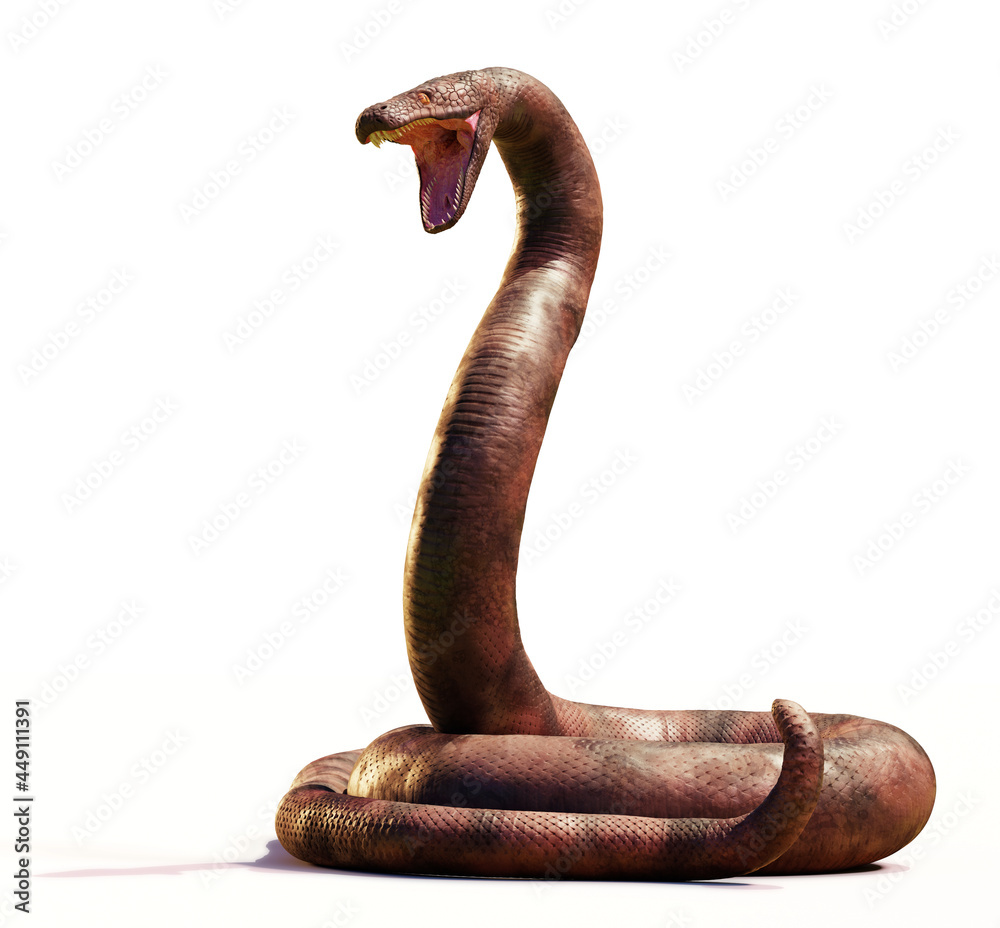 Titanoboa, with up to 12.8 meters the largest snake that ever lived ...