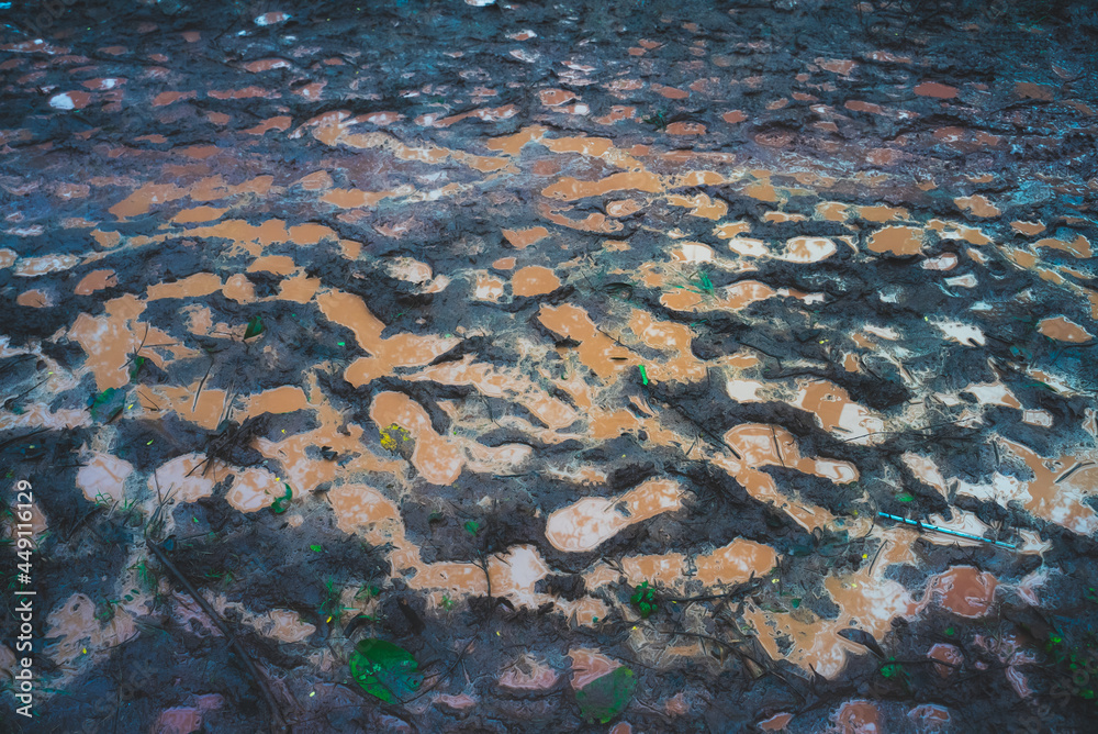 wet human footprint track on dirty mud, print, texture of foot path ...