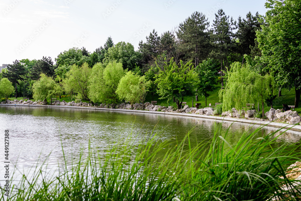 Landscape with lake and vivid green trees in Drumul Taberei Park ...