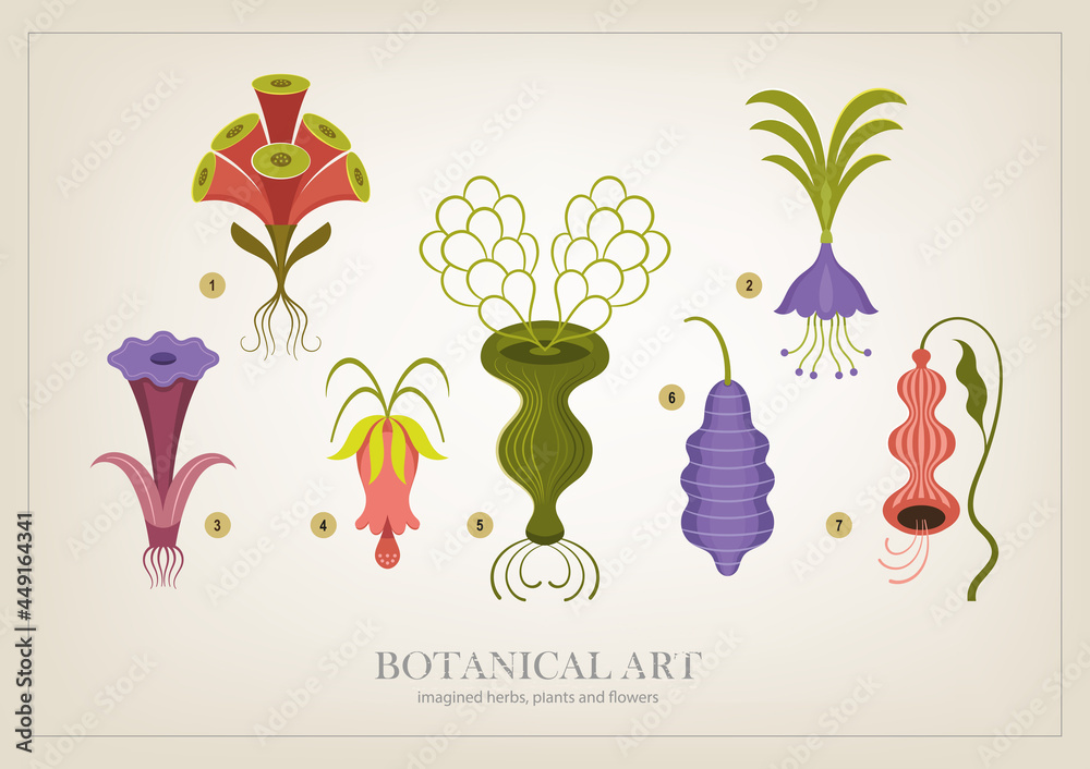 Collection of imaginary flowers and plants, vector illustrations. Set ...