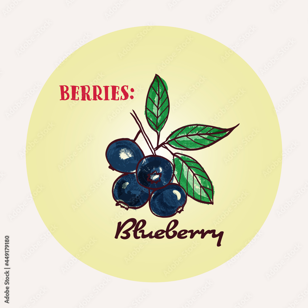 Blueberry line art and color hand-drawn vector illustration. Rough ...