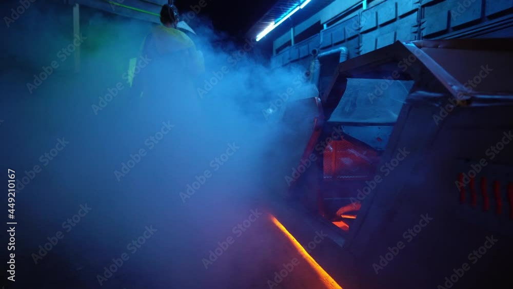 Cyberpunk concept and aesthetic, future. Female halfman half-robot ...