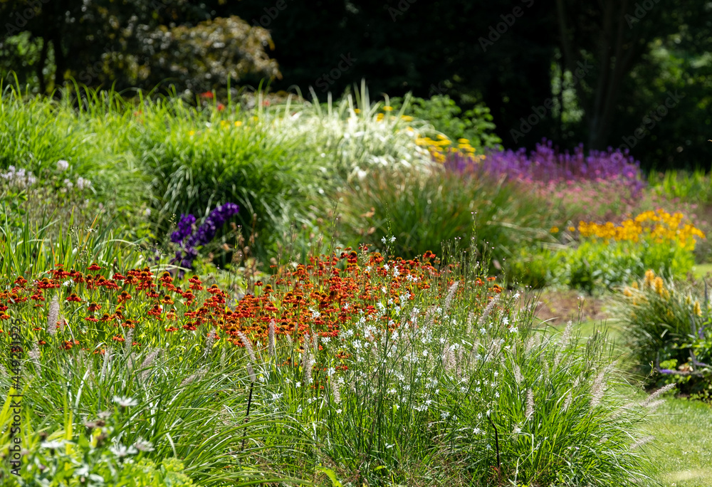 Mature garden influenced by the philosophy of naturalistic planting ...