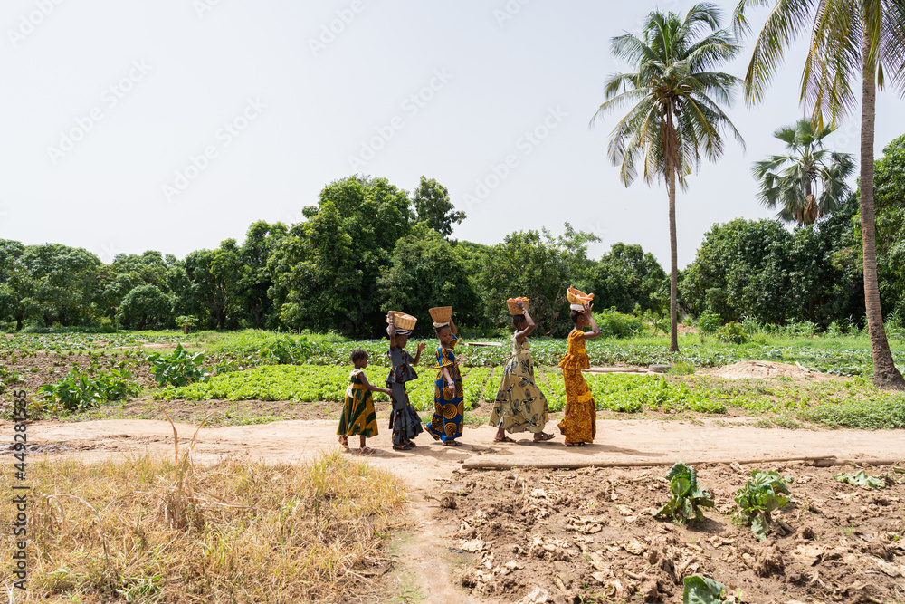 Row of young black African girls in colourful dresses walking on a dirt ...