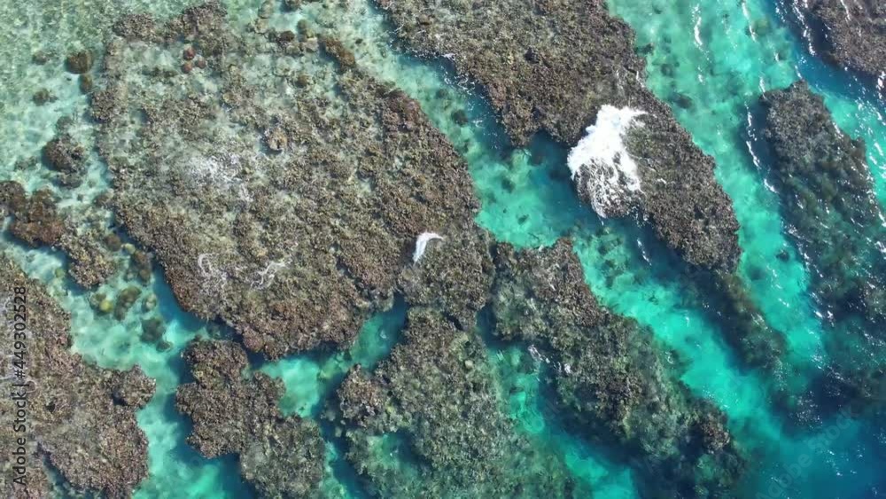 Video „Coral reef of Utila island in Honduras. The Mesoamerican Barrier ...