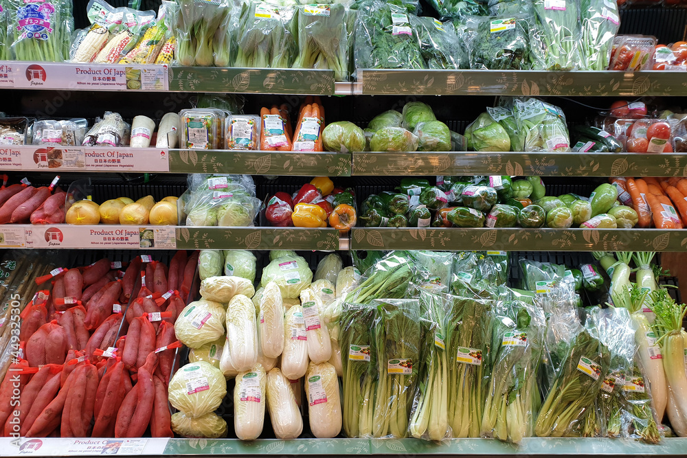 Interior view of the huge open refrigerator with various fresh ...