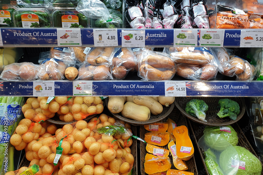 Interior view of the huge open refrigerator with various fresh ...