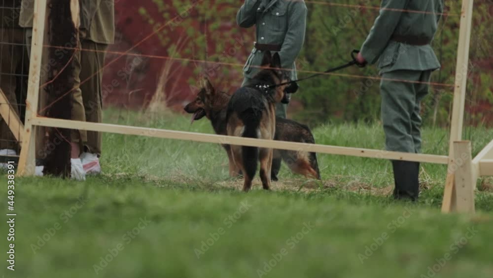 Vidéo Stock German soldiers with shepherds guard captured Soviet ...