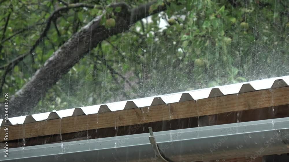 Raining on the metal roofing sheets and on gutter pipe. Heavy rain ...